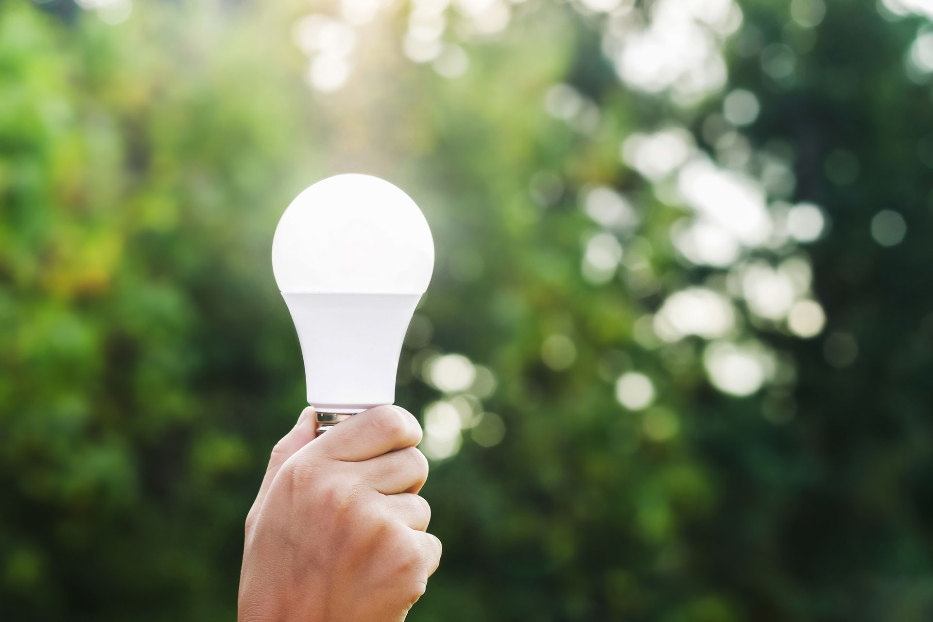 SFE Energy Natural Gas and Electricity Plans